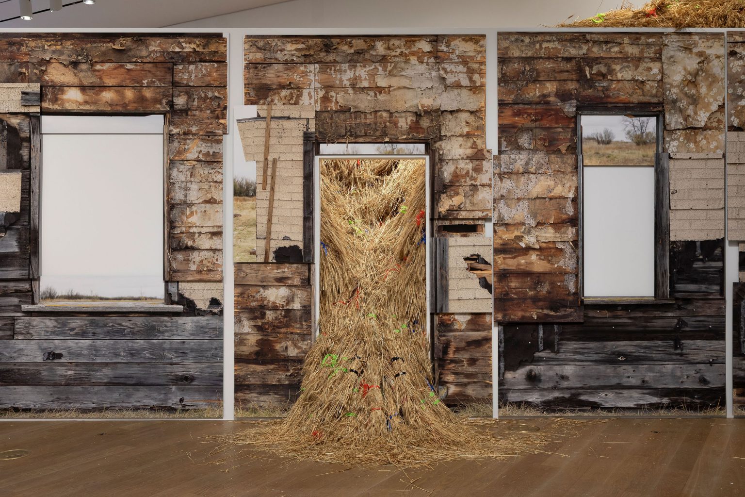 Althea Thauberger: Der Kleiekotzer (The Bran Puker) - Remai Modern
